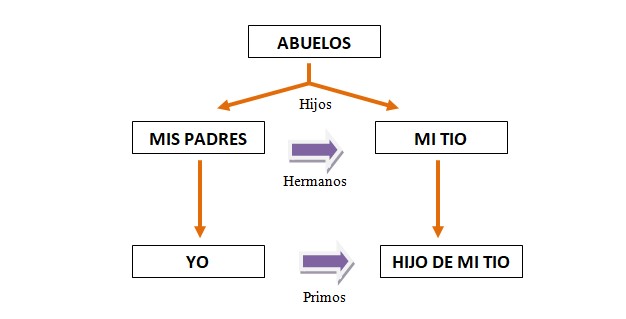 ¿CUÁNDO HEREDO A MI TIO/A? HERENCIA DE COLATERALES.